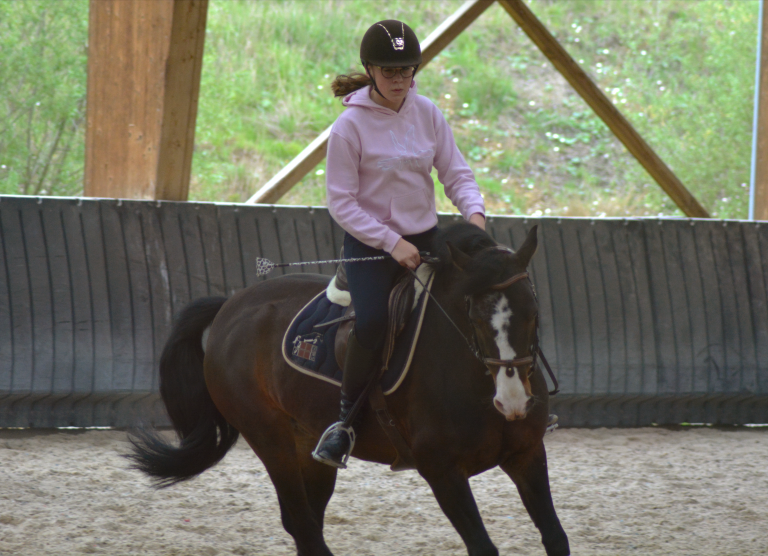 Muscler l'encolure de son cheval - Equiweb