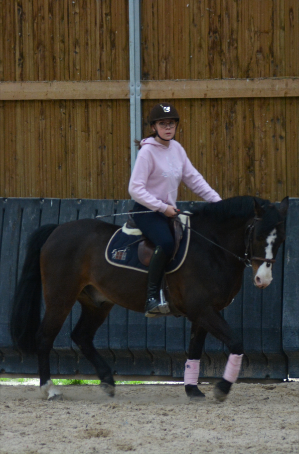 Muscler l'encolure de son cheval - Equiweb